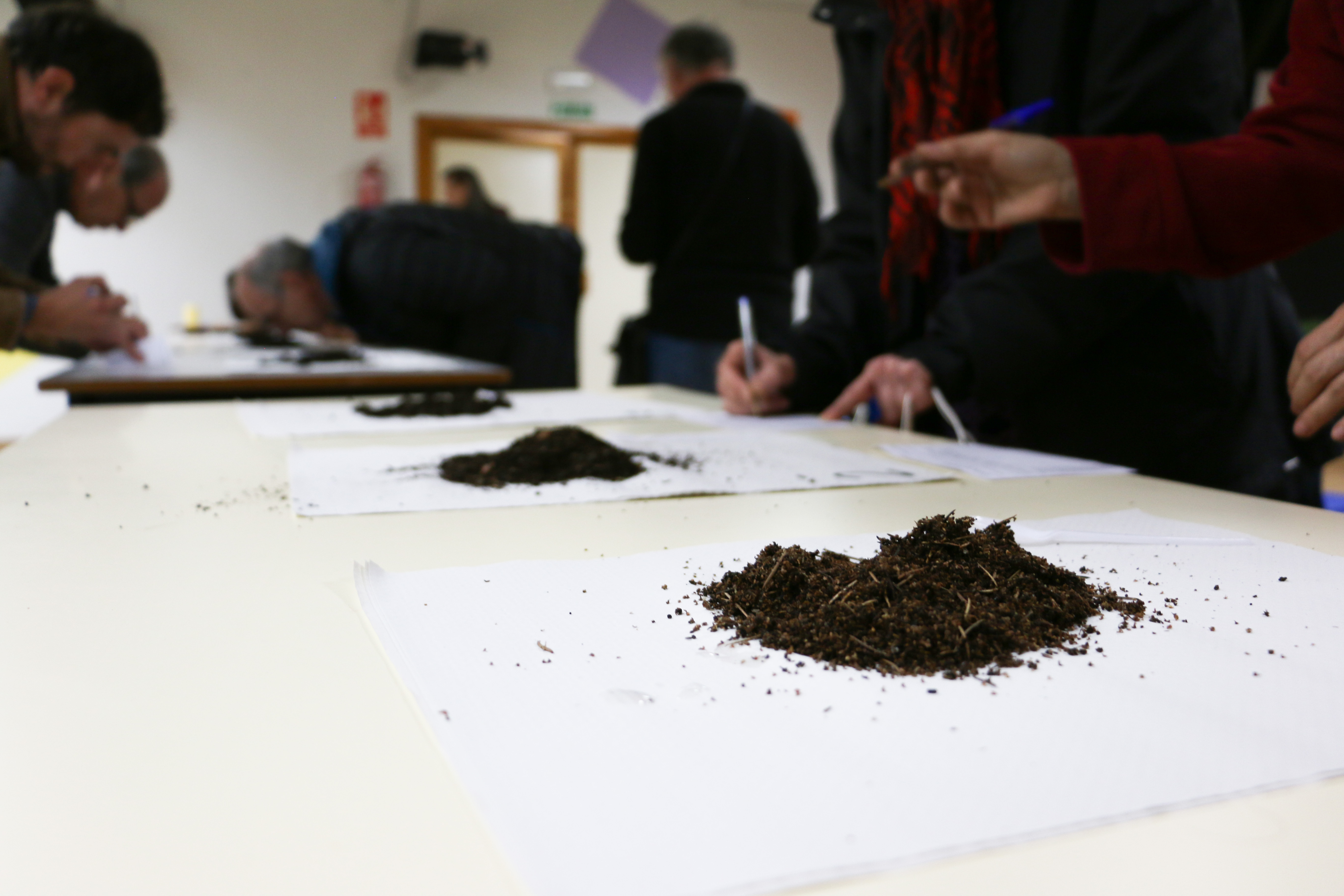 Cata de compost del Programa de compostaje de San Lorenzo de El ...